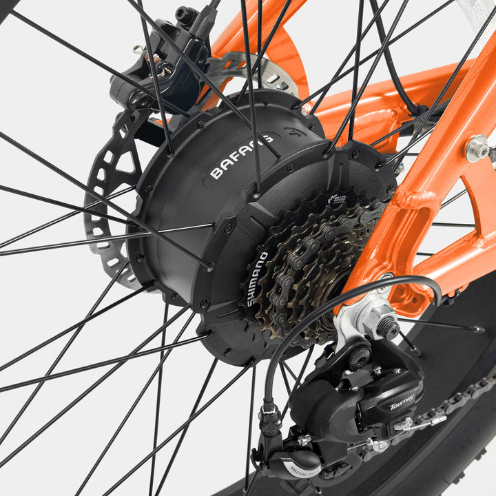 Crazybird-Jumper Electric Bike for Adults with 750W Motor 26" x 4.0 Fat ...
