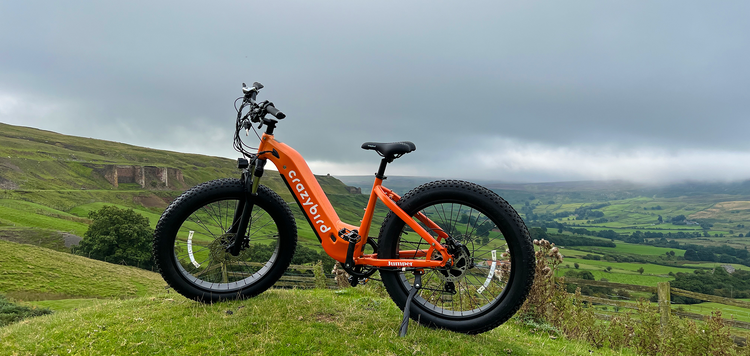 Discover the Freedom of CrazyBird eBikes - Live Young, Live Free!