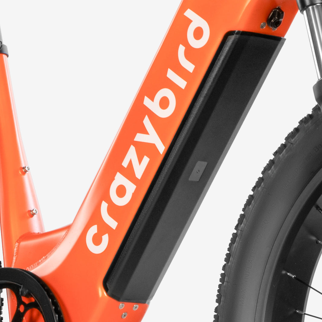 Crazybird-Jumper Electric Bike for Adults with 750W Motor 26" x 4.0 Fat Tire 52V 20AH Removable ...