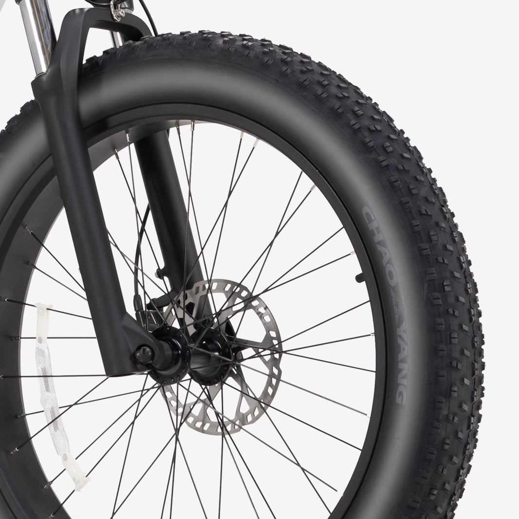 Crazybird-Jumper Electric Bike for Adults with 750W Motor 26" x 4.0 Fat Tire 52V 20AH Removable ...