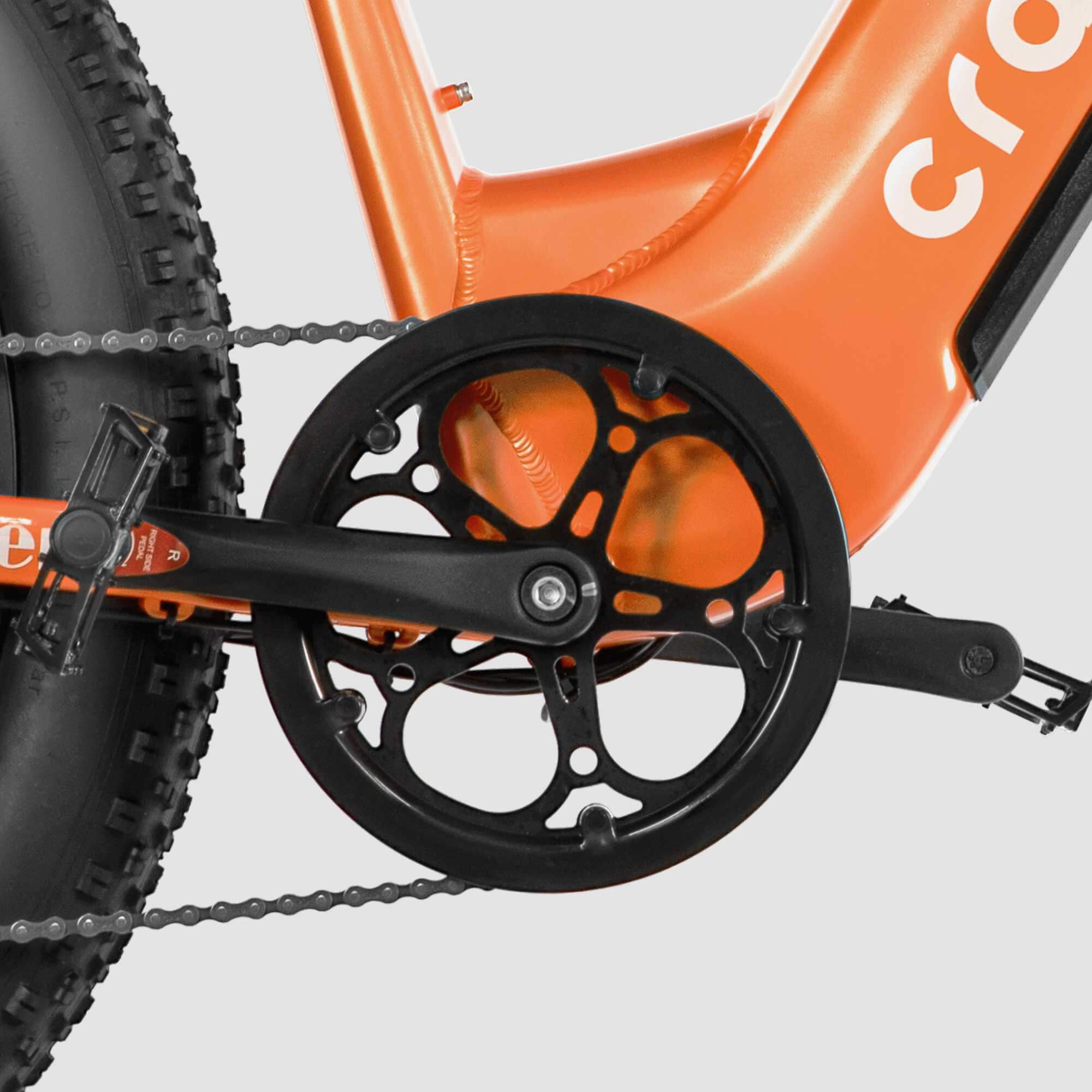 crazybird Jumper E-Bike